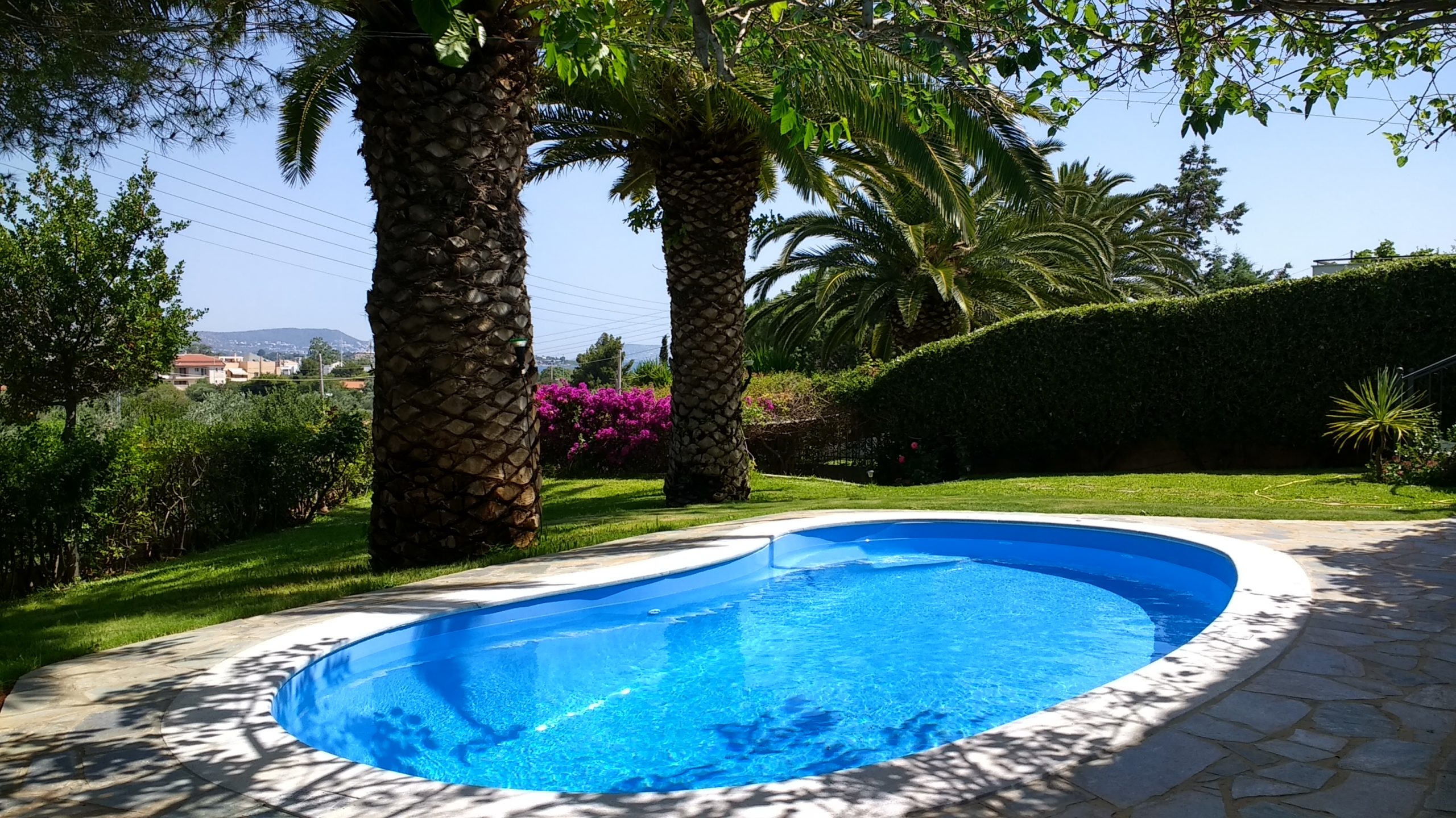 About Us – Drago Pools